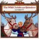Top 20 Christmas Books for Kids – Festival Around the World